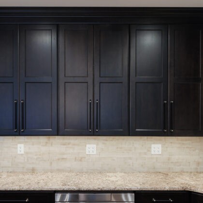 Design Ideas for Midnight Black Kitchen Cabinets